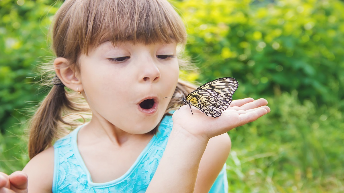 A magical world awaits you… Butterfly Garden unveiled in Abu Dhabi ...